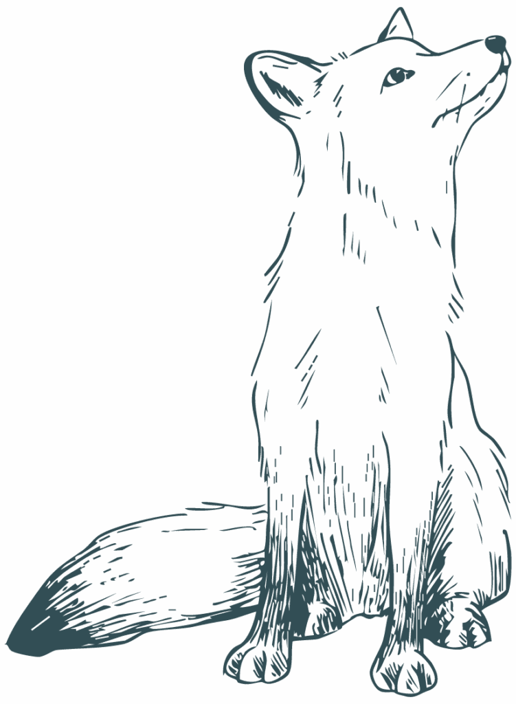 Sky Rise: Grounding — 2026-06-05T09:30:00-04:00 | Skaneateles Fields ...